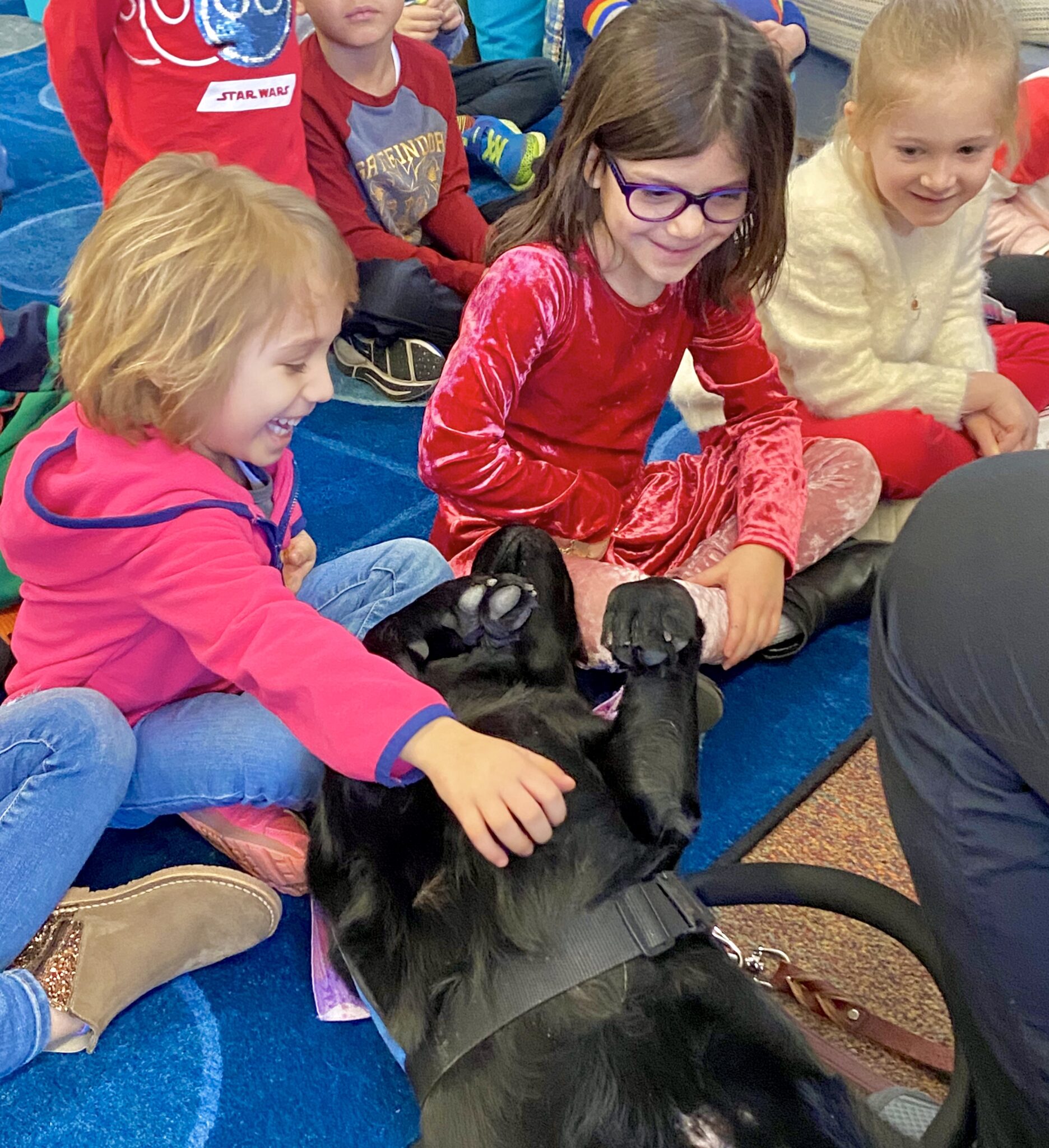 Paws to Learn - BluePath Service Dogs
